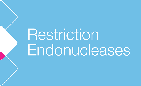 Restriction Endonucleases